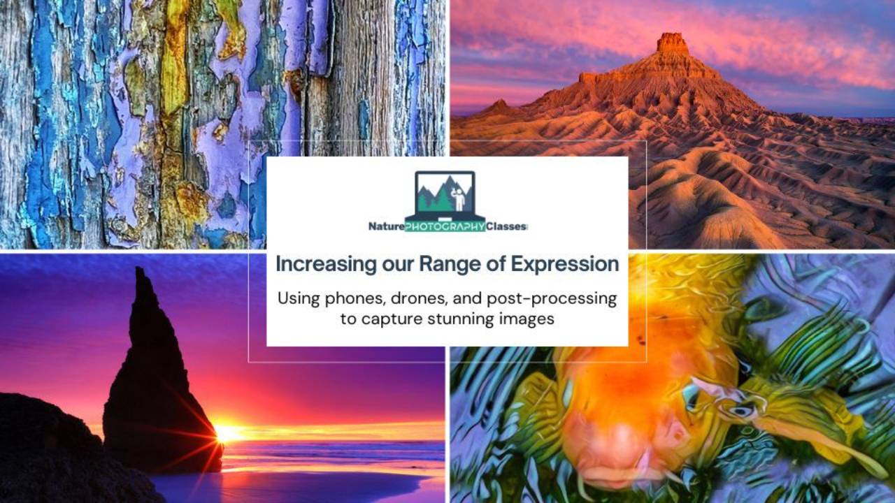 Online Course: Expression & Landscape Photography - Expert Speakers