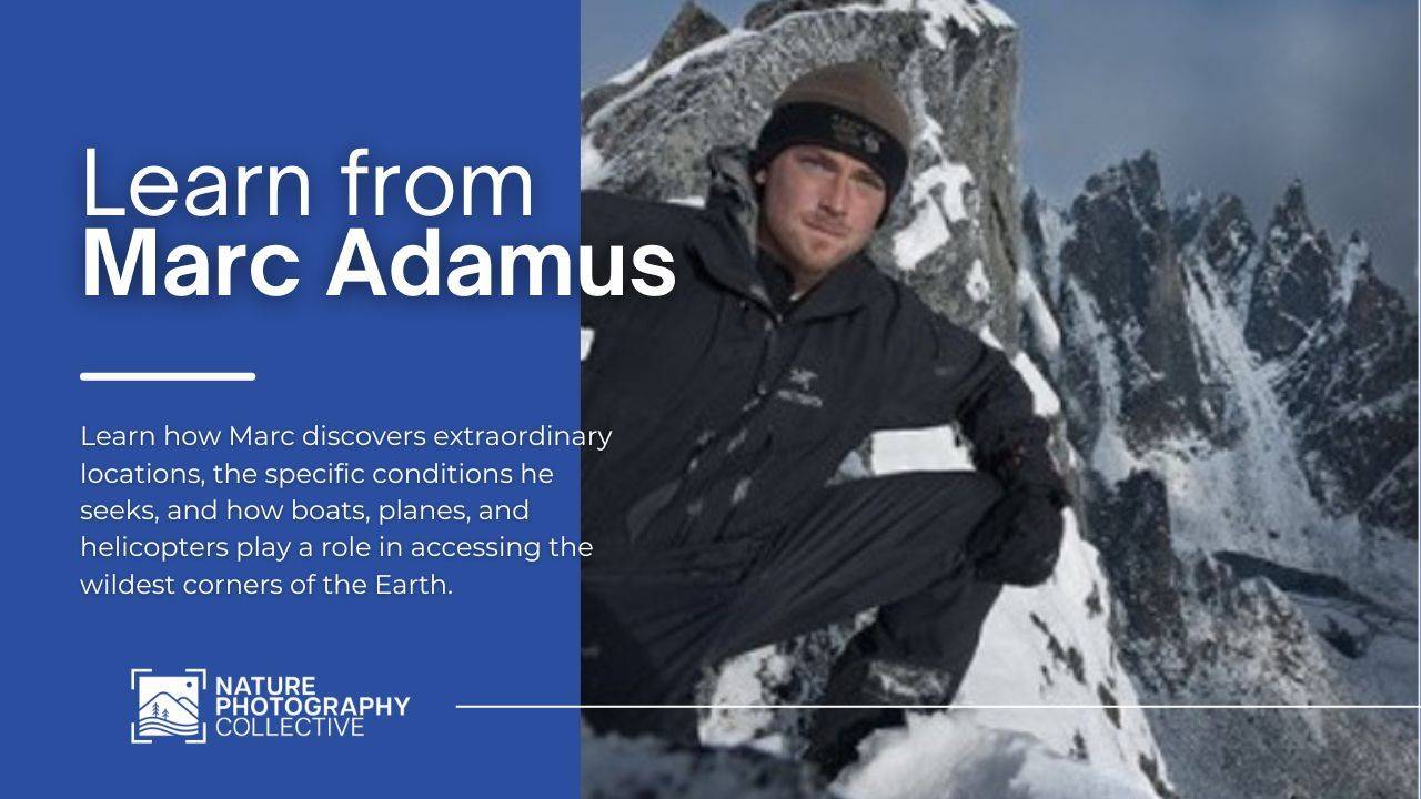 Learn from Marc Adamus