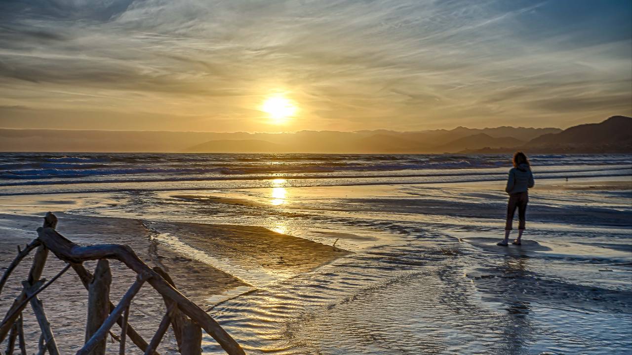 New to NPC FAQs: Your Questions Answered