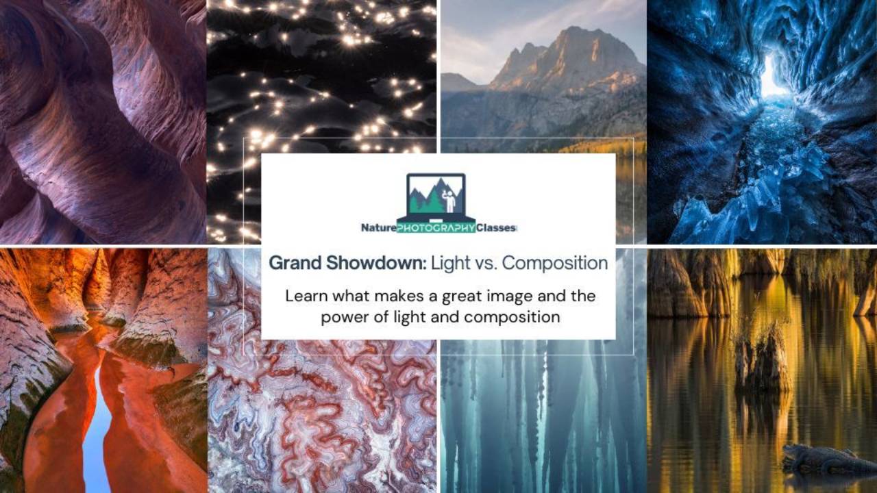 Learn Nature Photography: Light and Composition Course