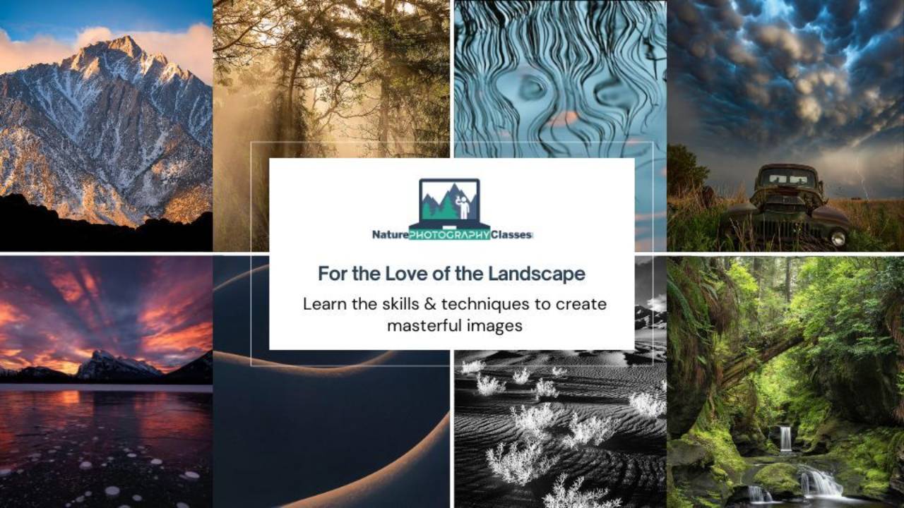 Learn Photography Course - Explore Broader Photography Topics