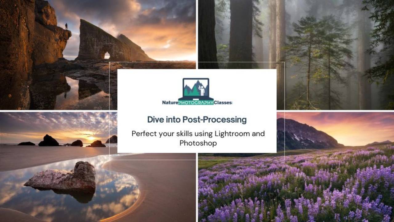 Affordable Photography Course: Learn Post-Processing Today!