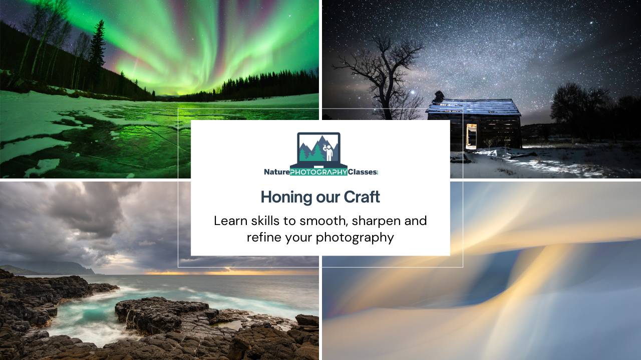 Learn Photography Course: Honing our Craft