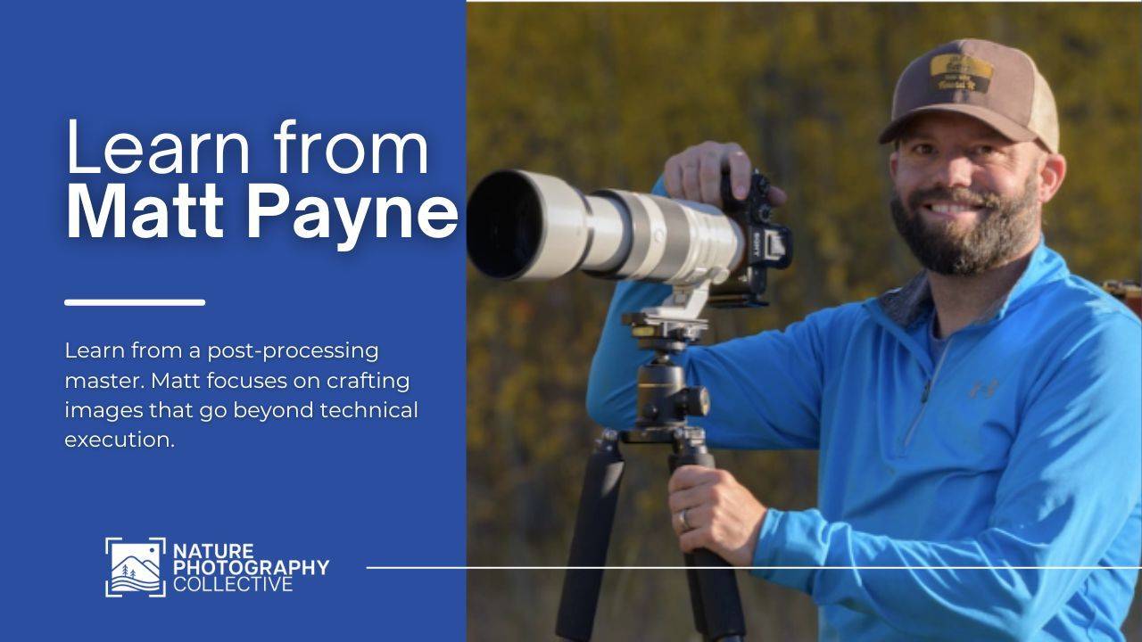 Learn from Matt Payne
