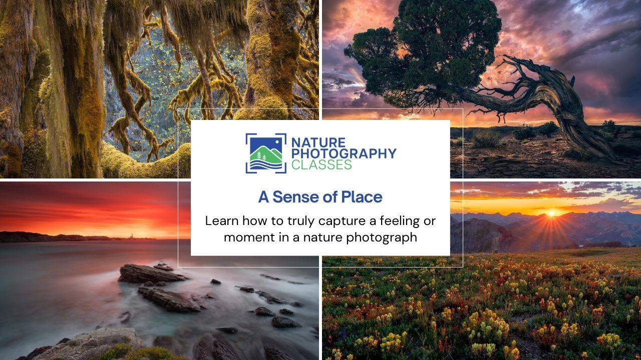 Learn Photography Course: A Sense of Place