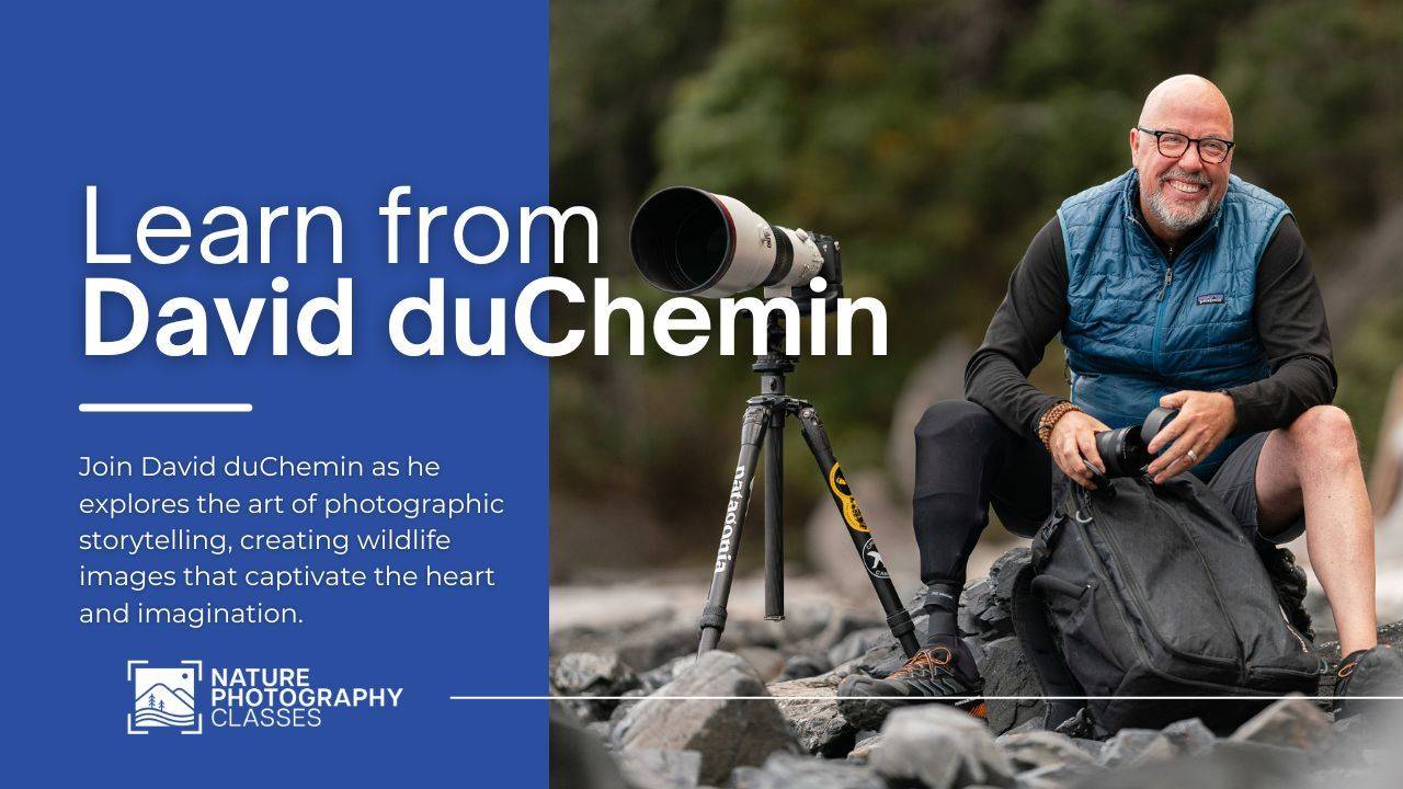 Learn from David duChemin