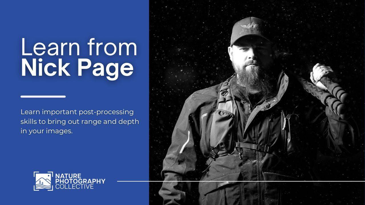 Learn from Nick Page