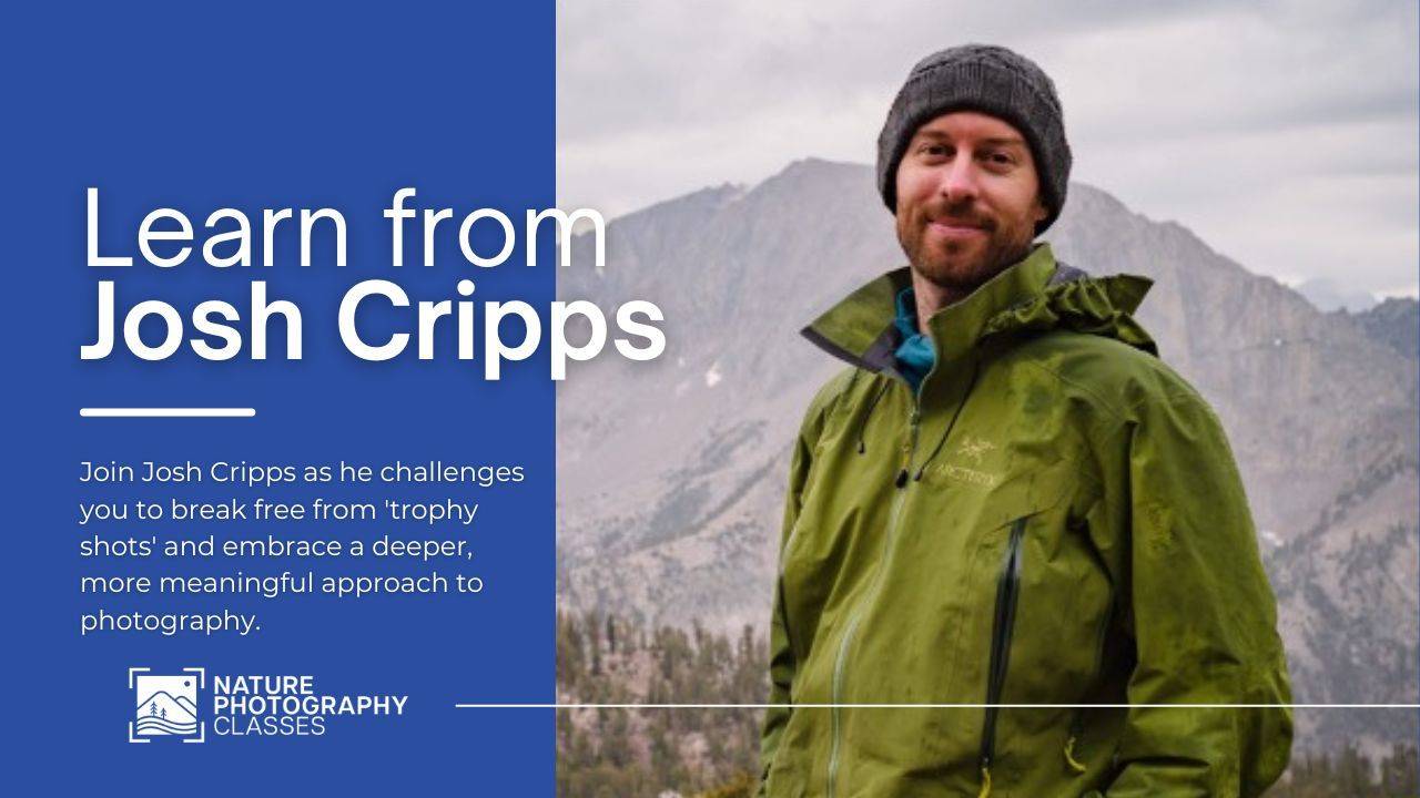 Learn from Josh Cripps
