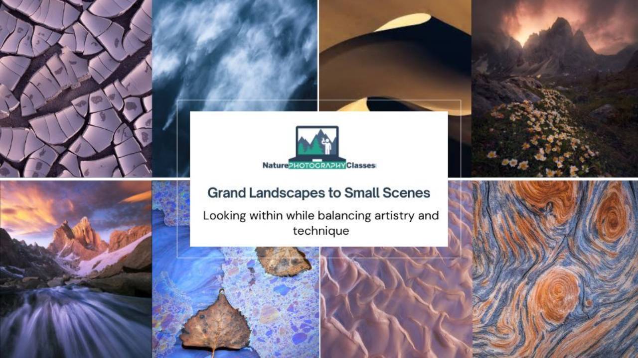 Affordable Photography Series: Learn Landscape to Small Scenes