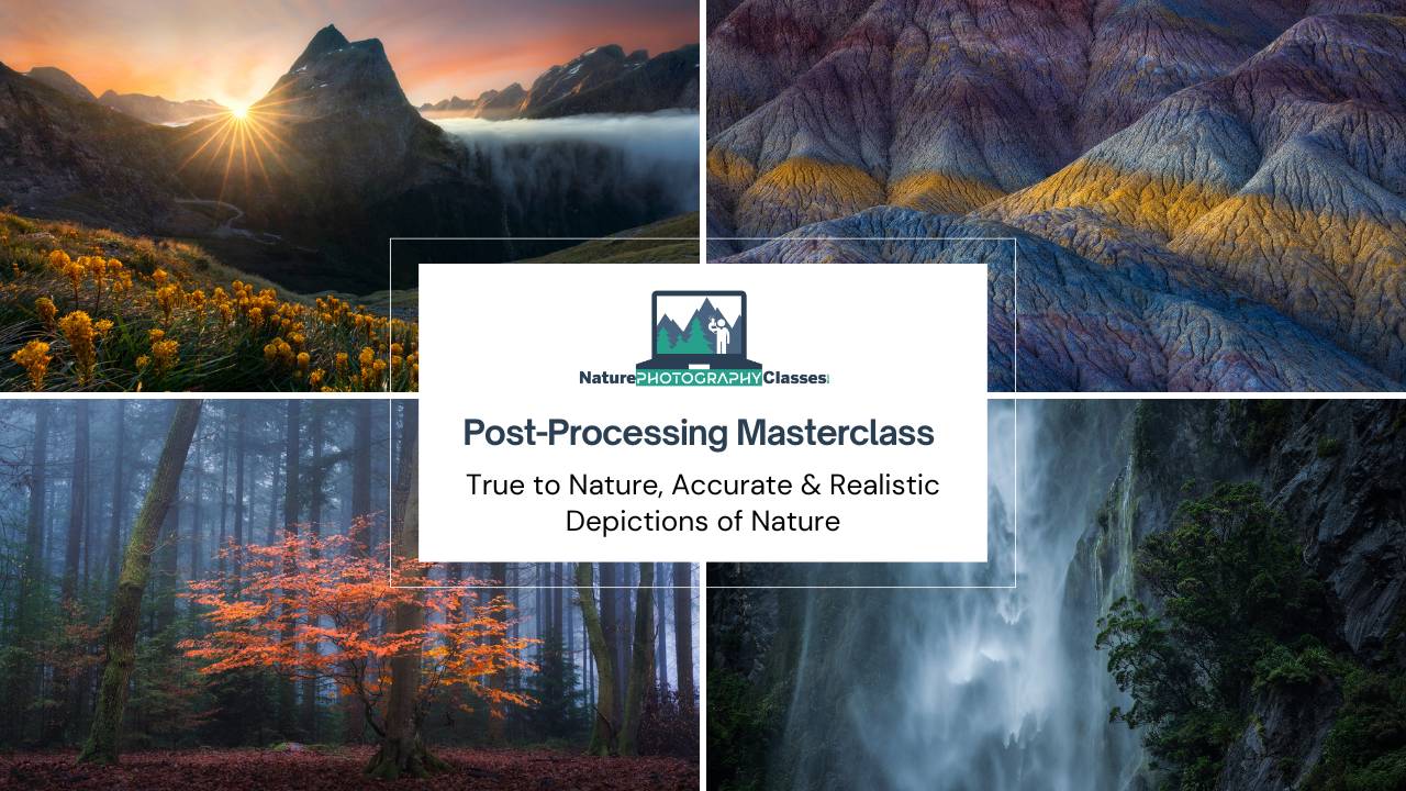 Learn Photography Course: Post-Processing Masterclass