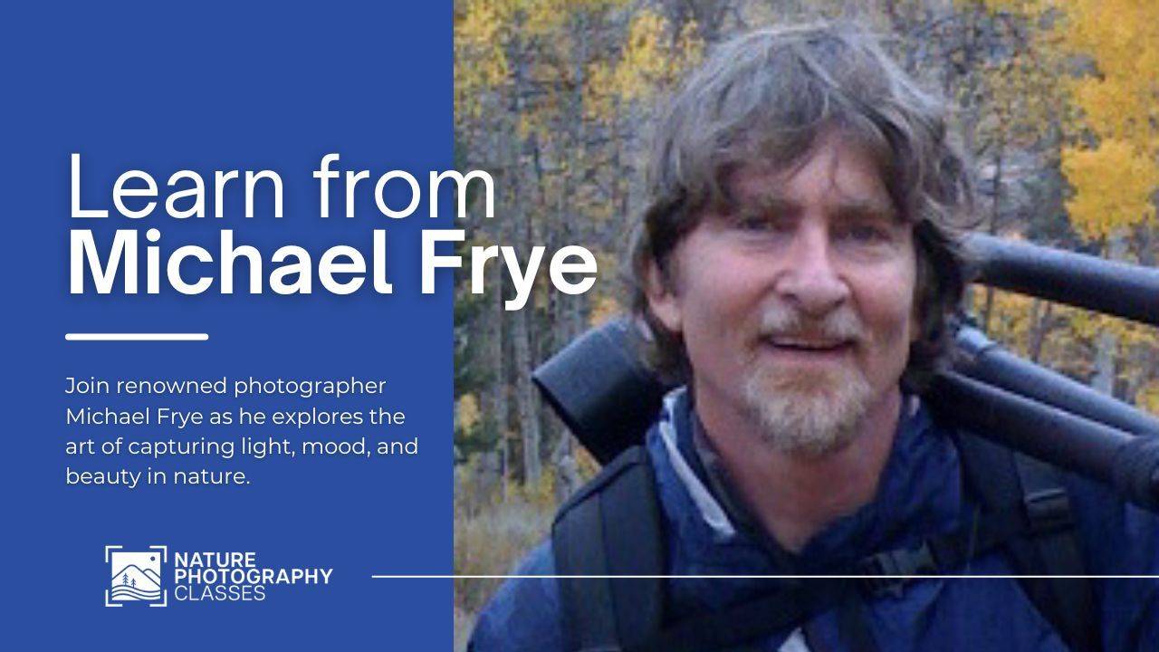 Learn from Michael Frye