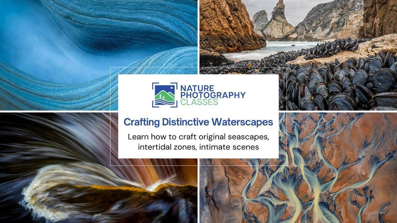 International Photography Course: Crafting Distinctive Waterscapes