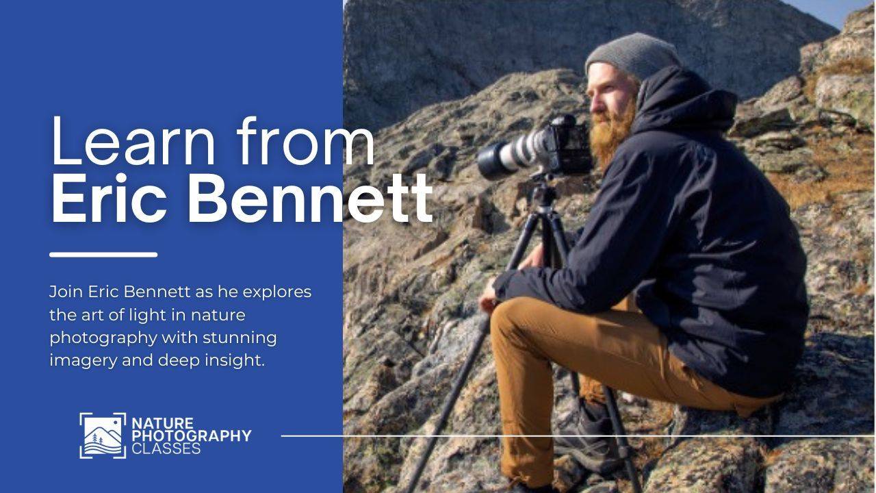 Learn from Eric Bennett