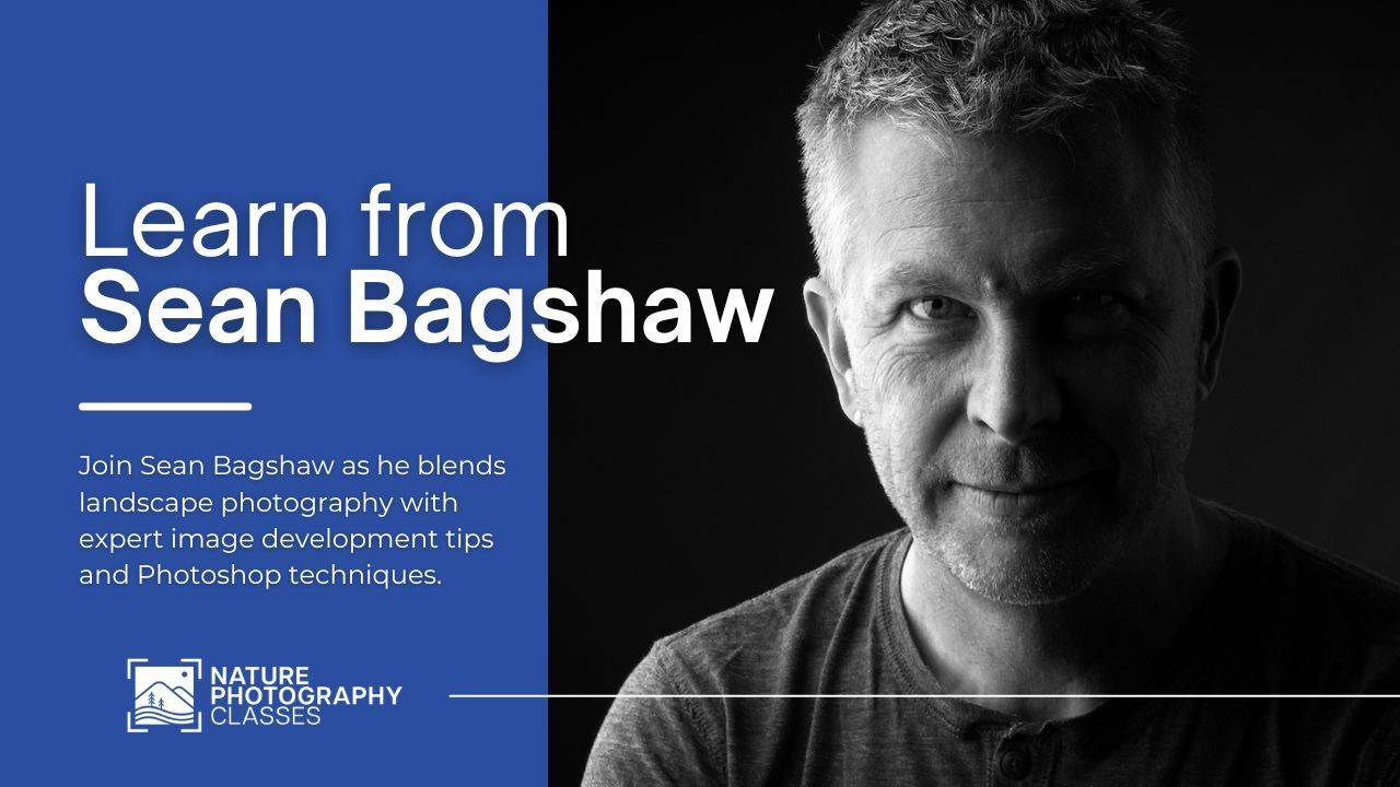 Learn from Sean Bagshaw