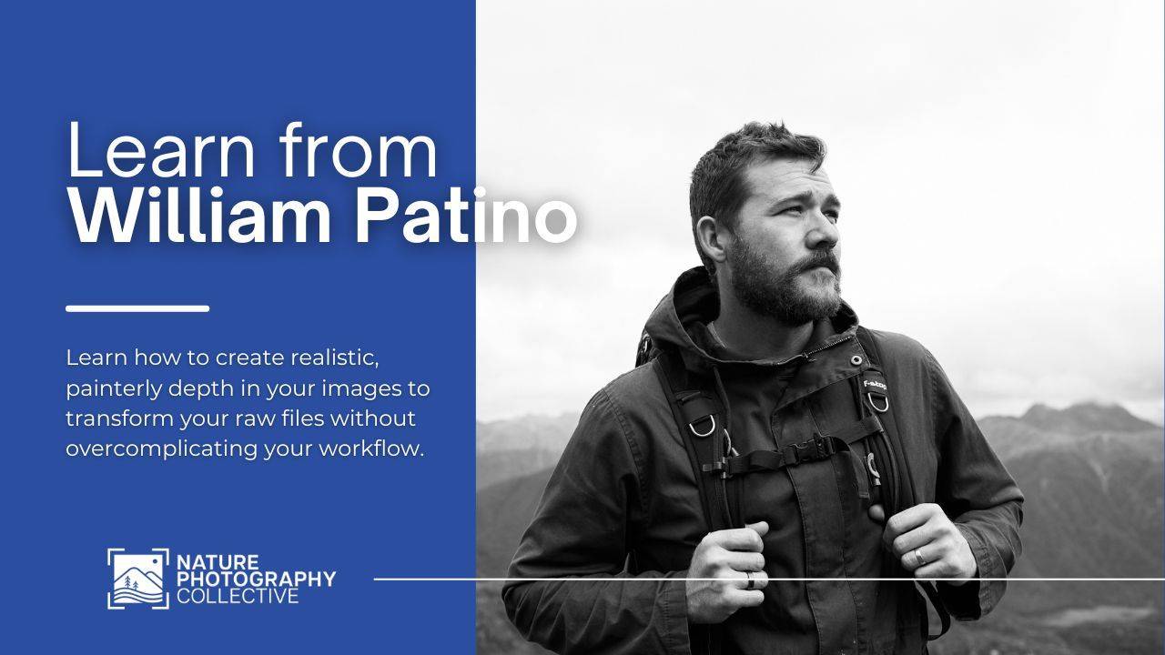 Learn from William Patino