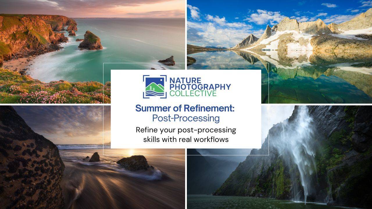 Learn Photography Course: Summer of Refinement - Post Processing
