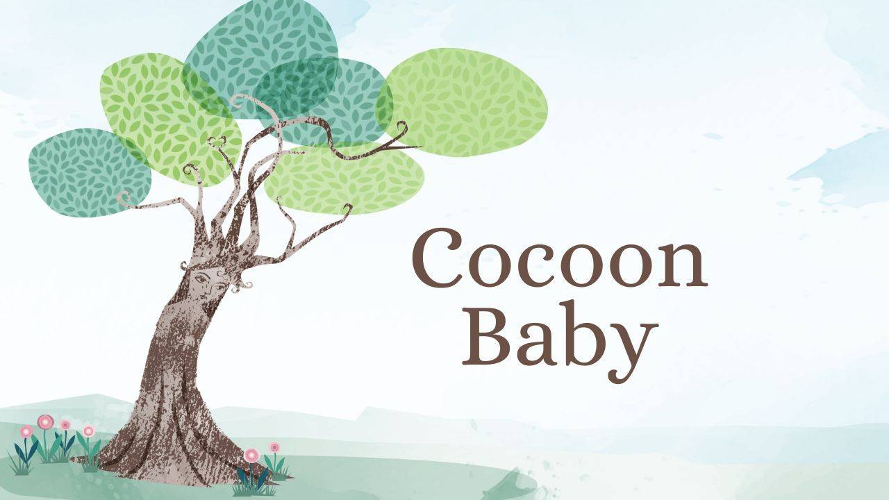 Cocoon Baby