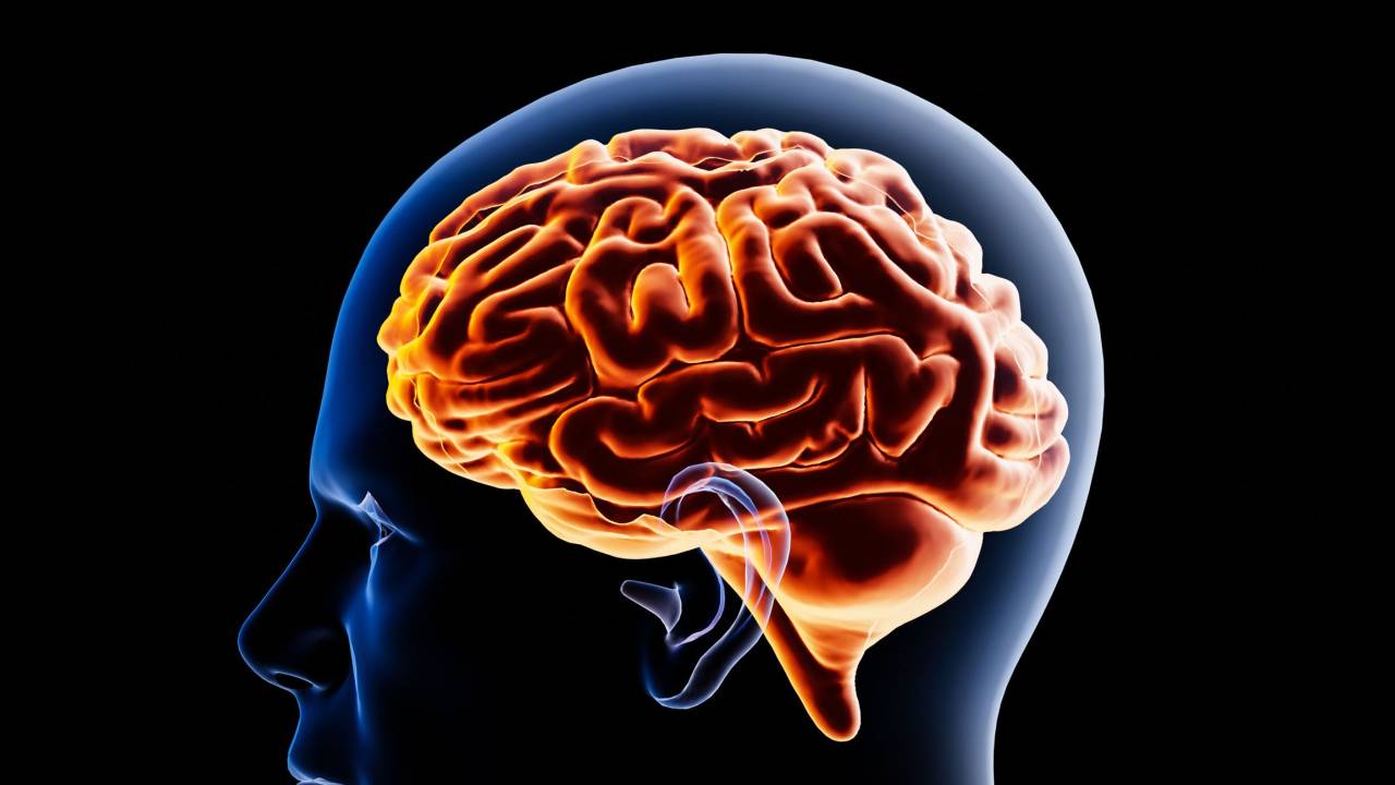 What I Learned About the Brain That Changed How I Talk About Price