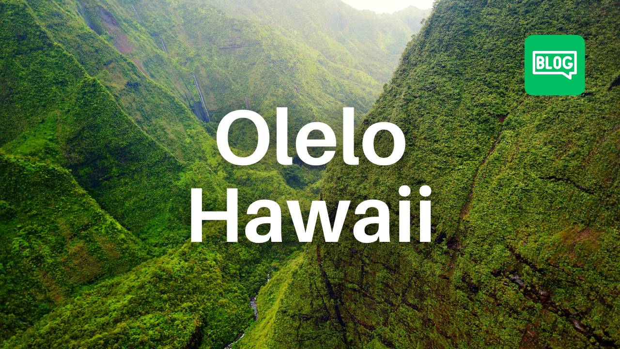 Olelo Hawaii Blog