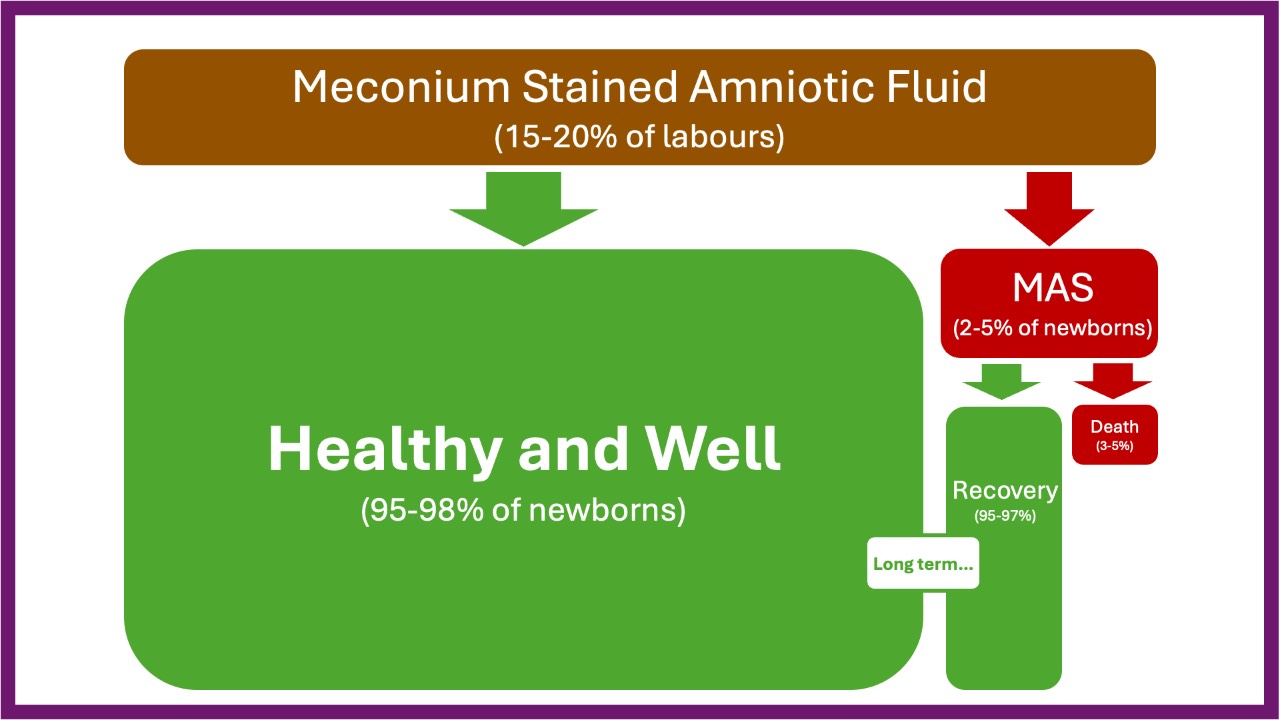 Meconium Stained Amniotic Fluid: variation or complication?