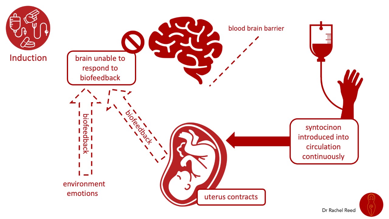 Induction: a step by step guide