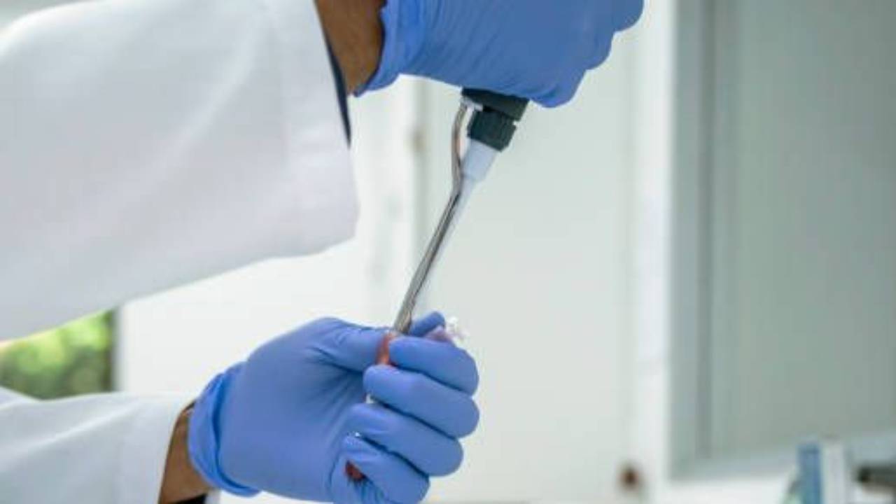 Characterization Test Report - Free Download