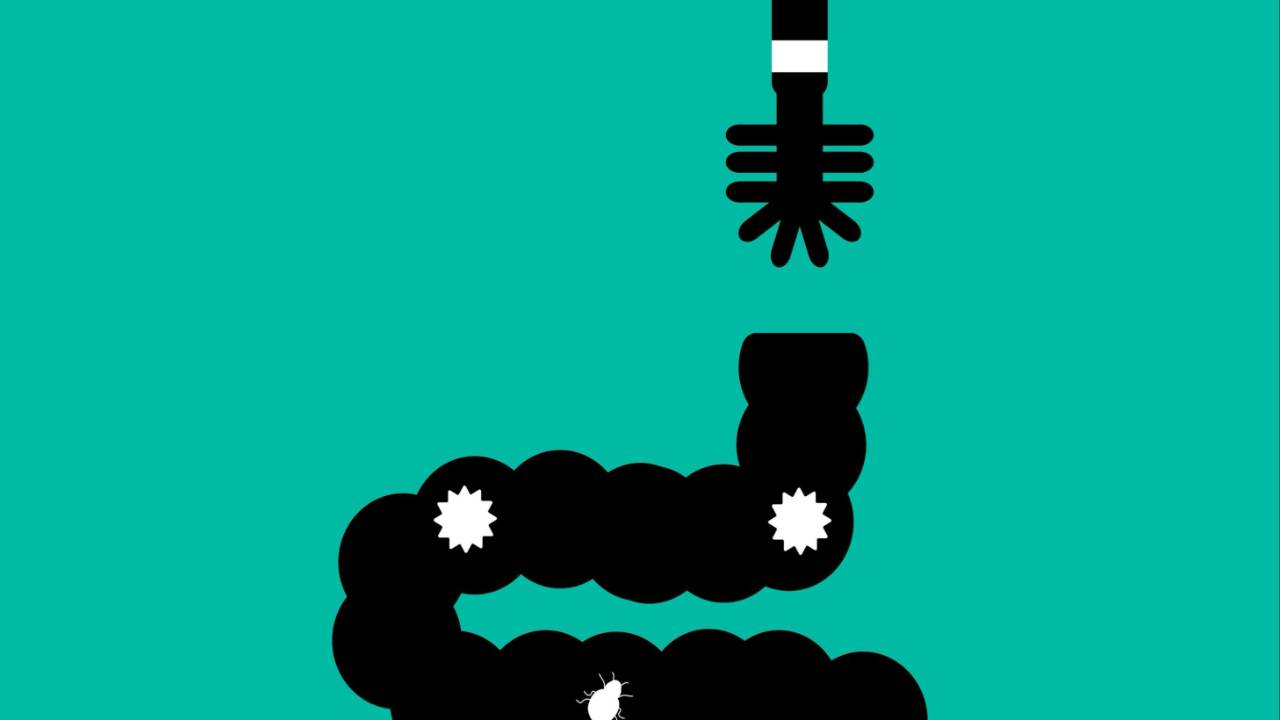 The Migrating Motor Complex