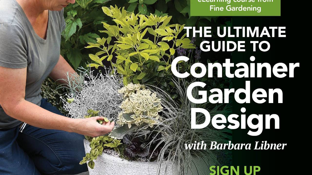 The Ultimate Guide to Container-Garden Design