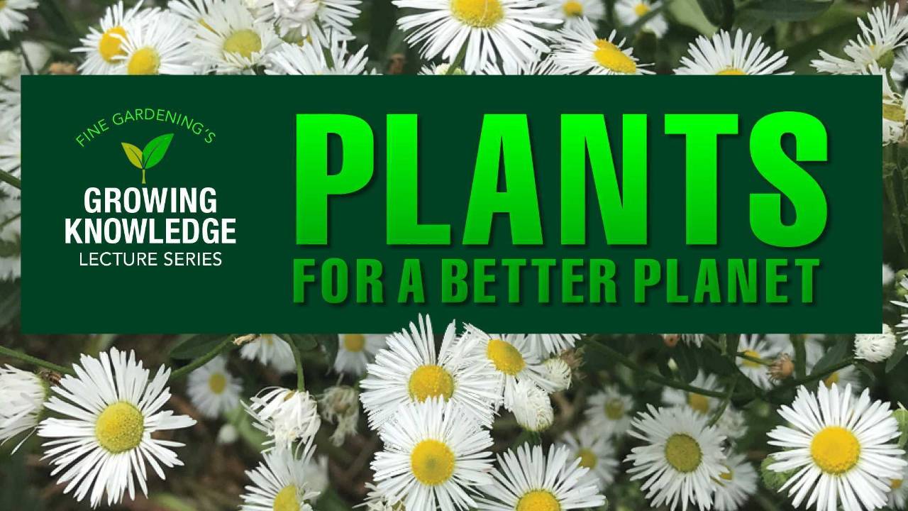 Plants for a Better Planet: On-Demand