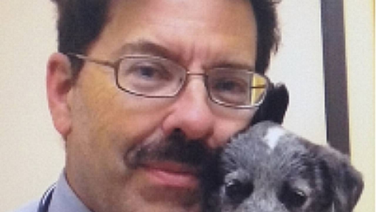 Understanding the Risks of Bird Flu for Dogs and Cats