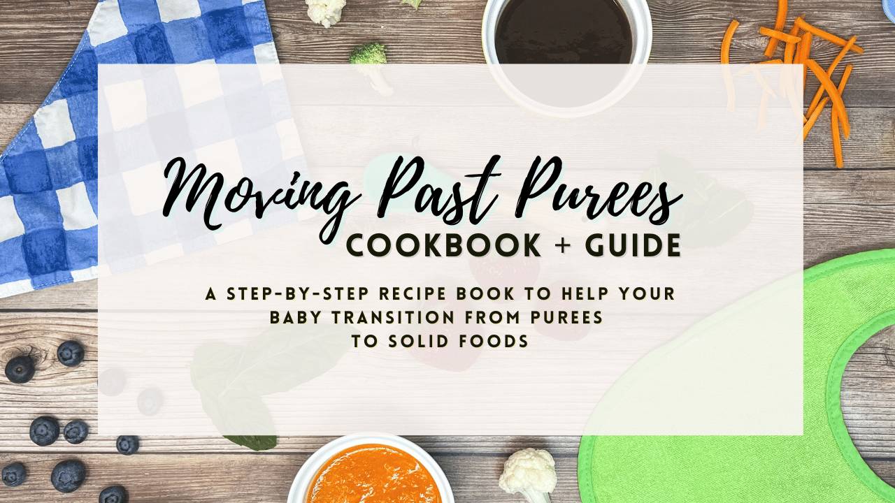 Moving Past Purees - Recipe Book & Guide