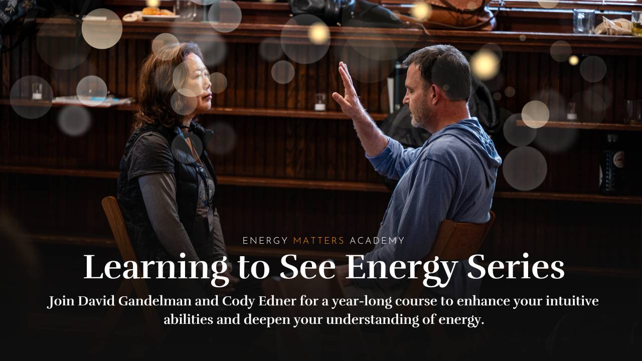 Learning to See Energy Series with David Gandelman and Cody Edner