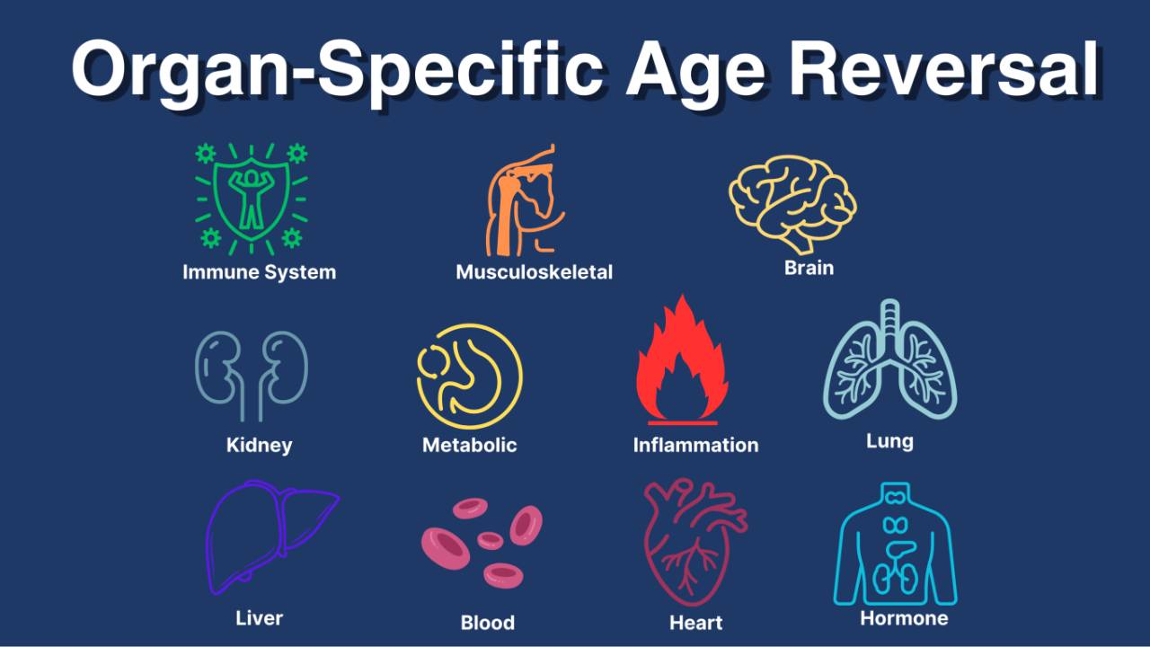 Decoding Your Aging Blueprint: Organ-Specific Age Reversal