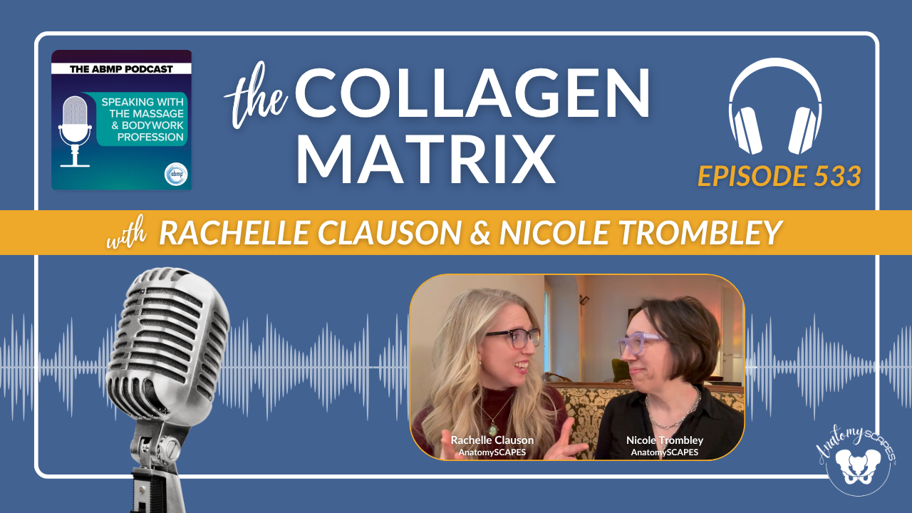 The Collagen Matrix