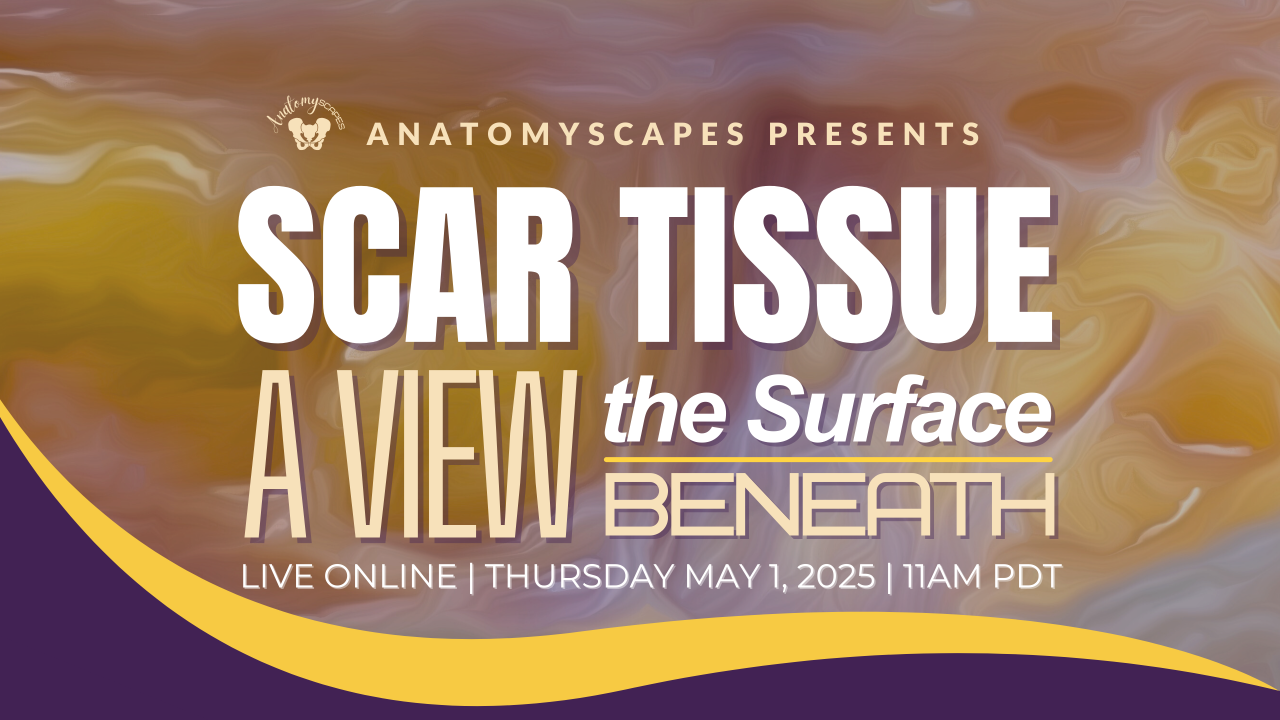 LIVE Webinar Event: SCAR Tissue - A View Beneath the Surface