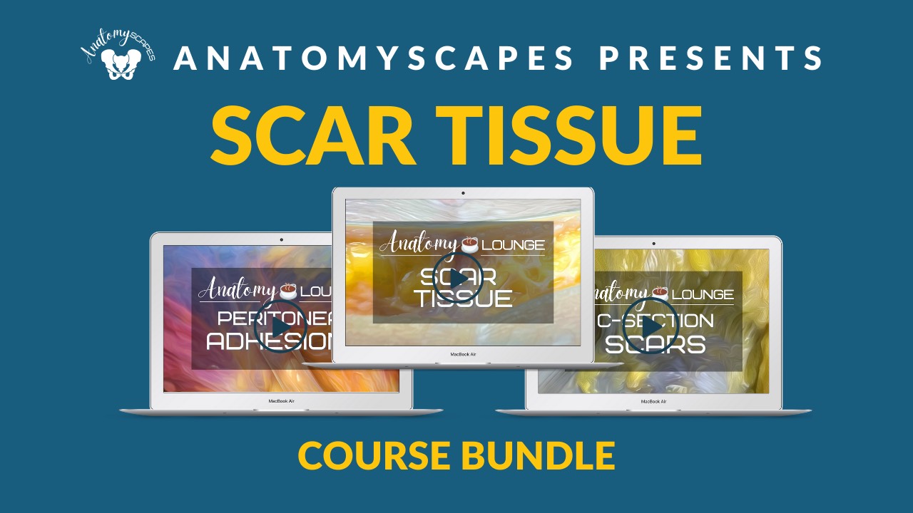 Scar Tissue Bundle