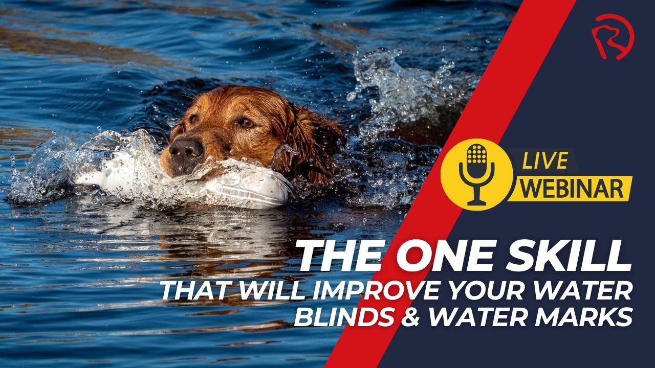 Master This Skill to Improve Your Water Blinds & Marks