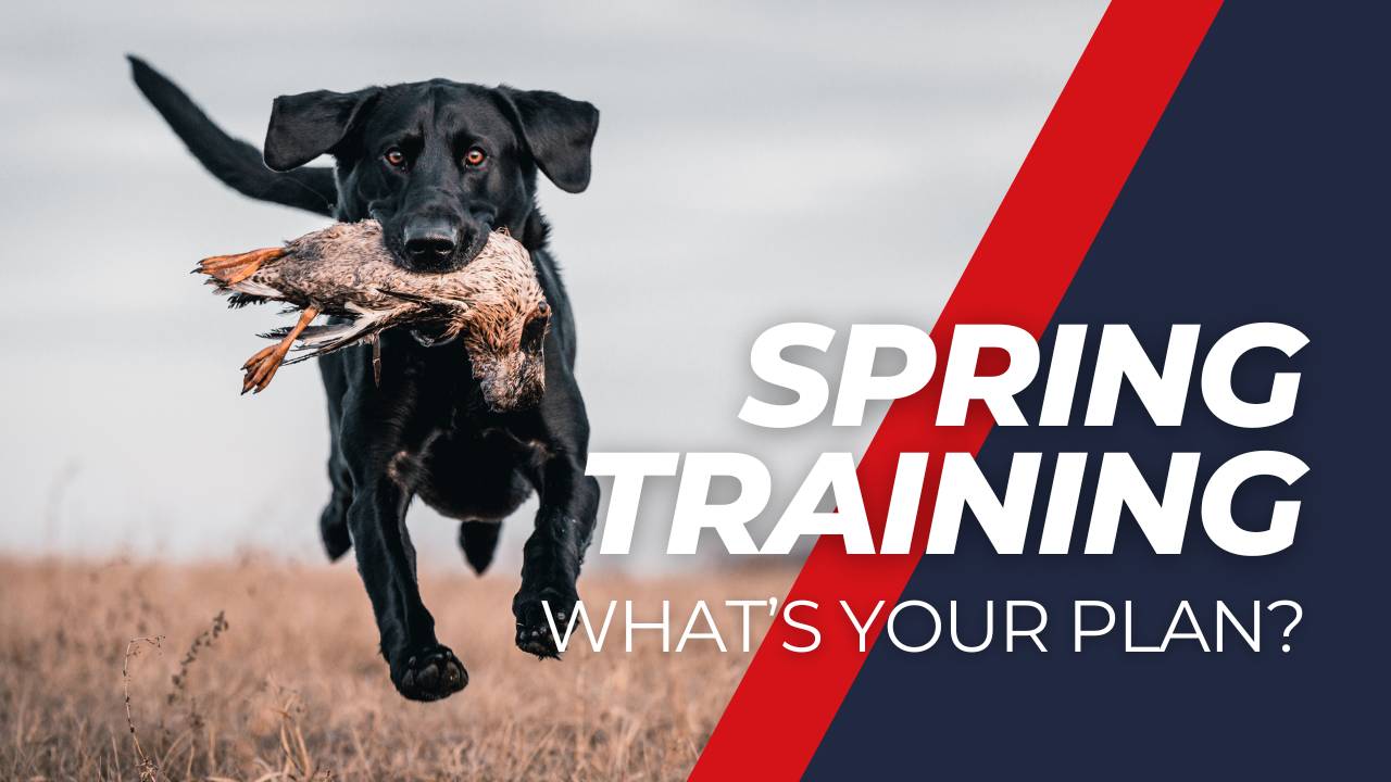 Spring Training: What's Your Plan?