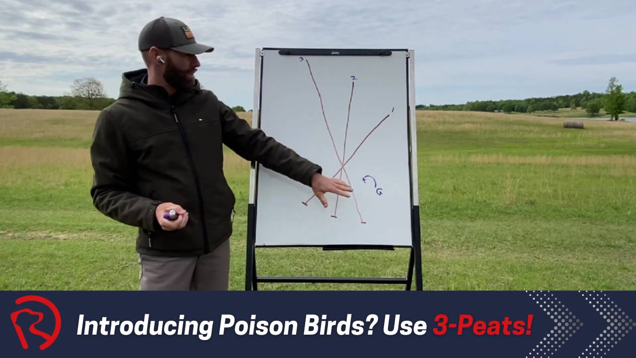 Introducing Poison Birds? Use 3-Peats!