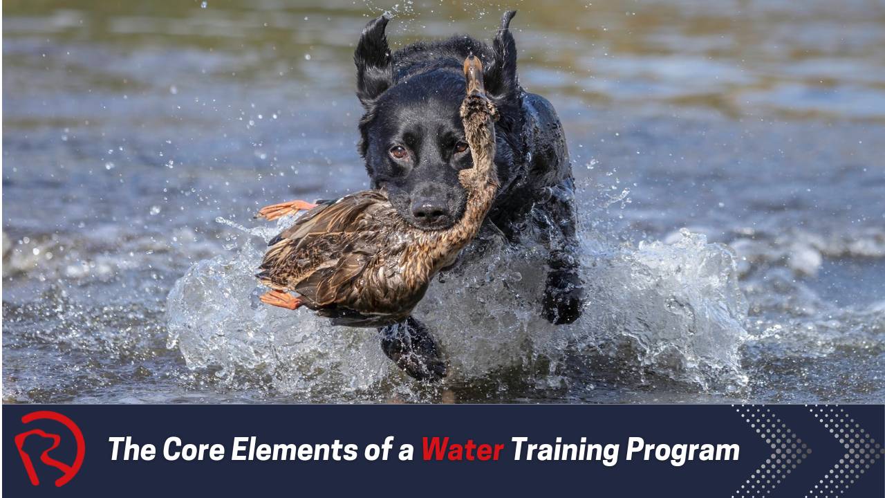 The Core Elements of a Water Training Program