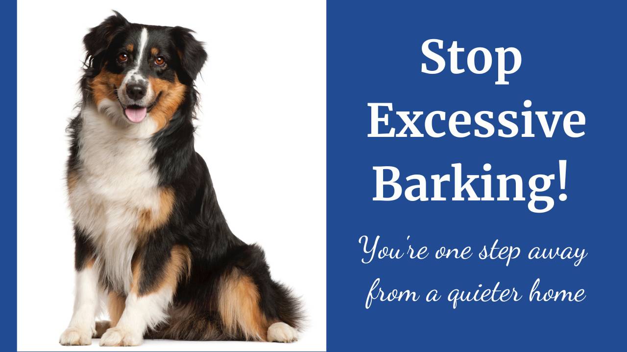Get your dog to stop excessive barking in 3 simple steps!