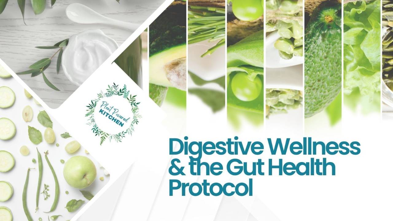 Gut Health Protocol