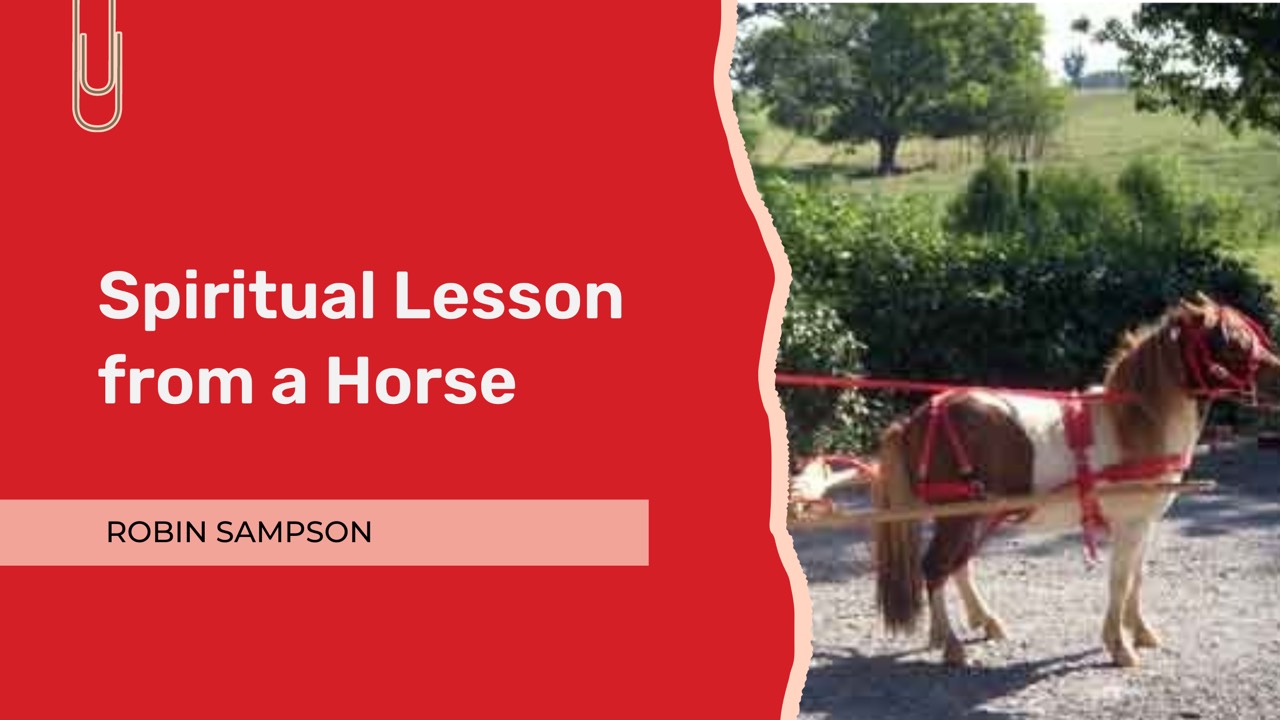 Spiritual Lesson from a Horse