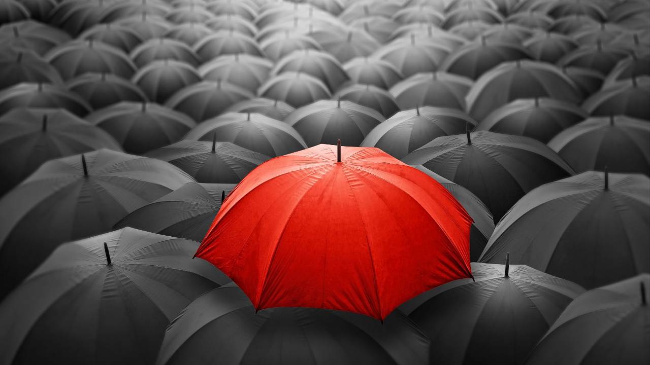 Learn how to develop a standout USP to connect with your niche!