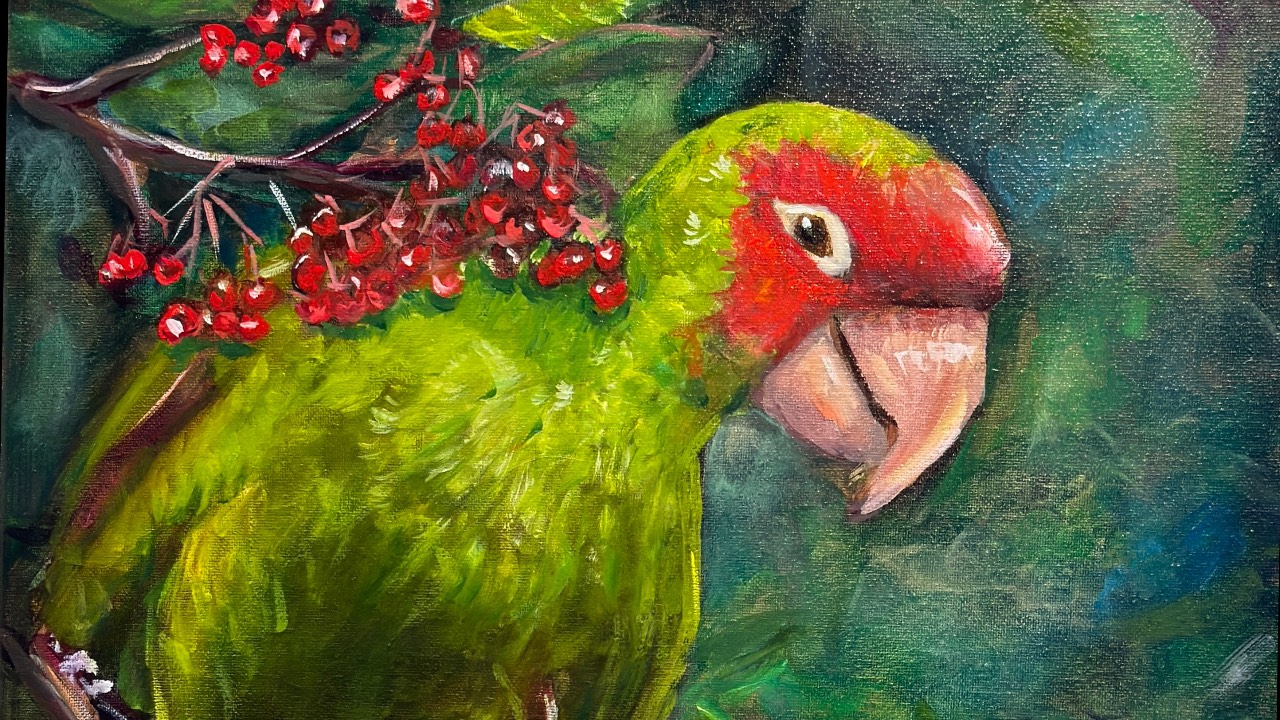 Learn - Create - Share