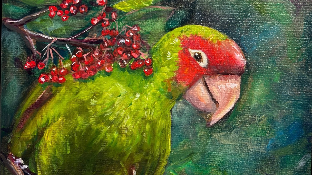 Learning the Language of color