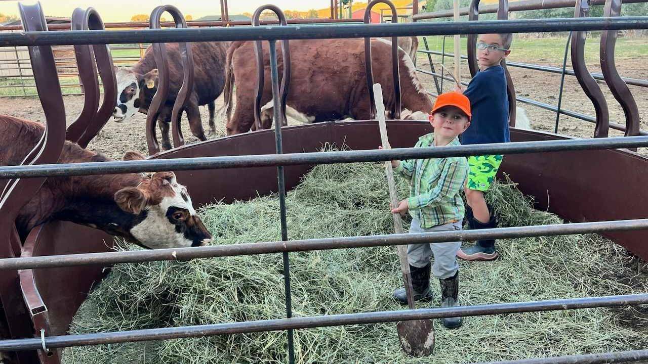 Spring Cleaning - Freshening up your Animal Shelters