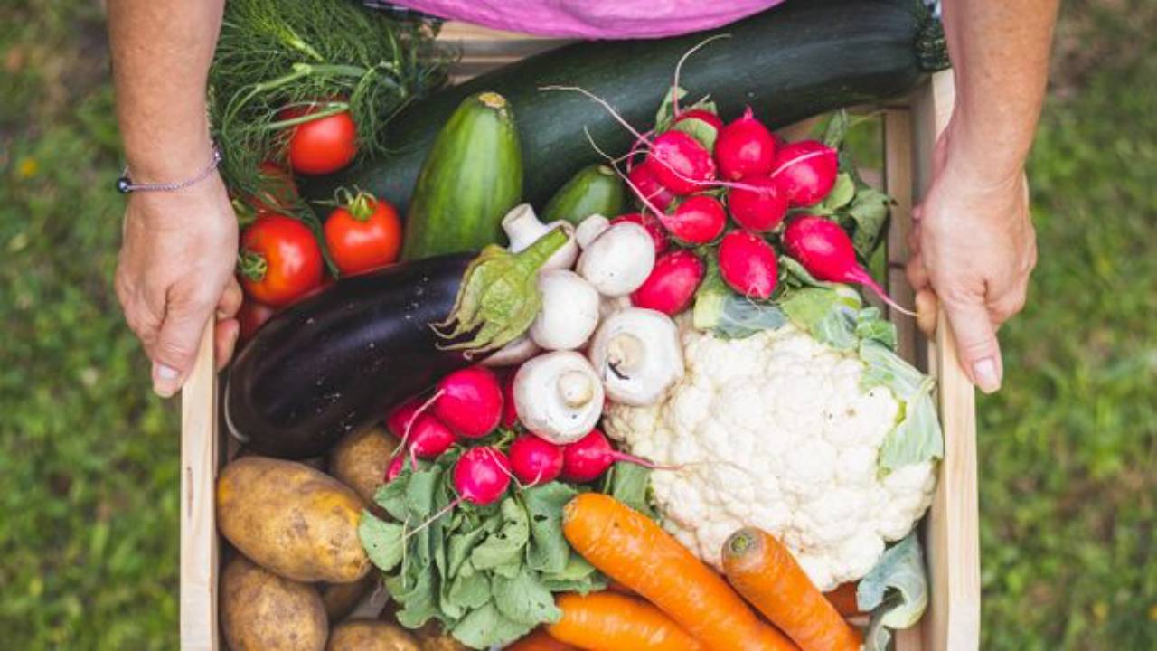 Spring Gardening: Cultivating Joy and Abundance on Your Homestead