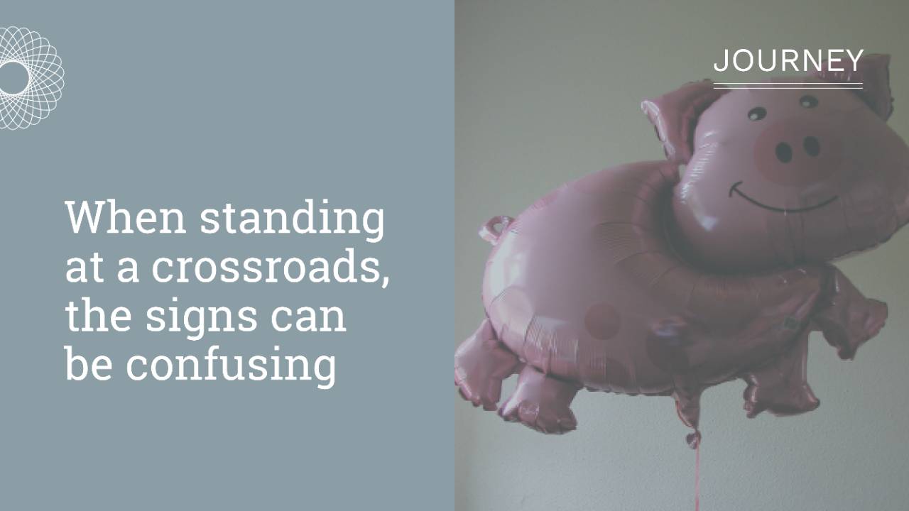 When standing at a crossroads, the signs can be confusing