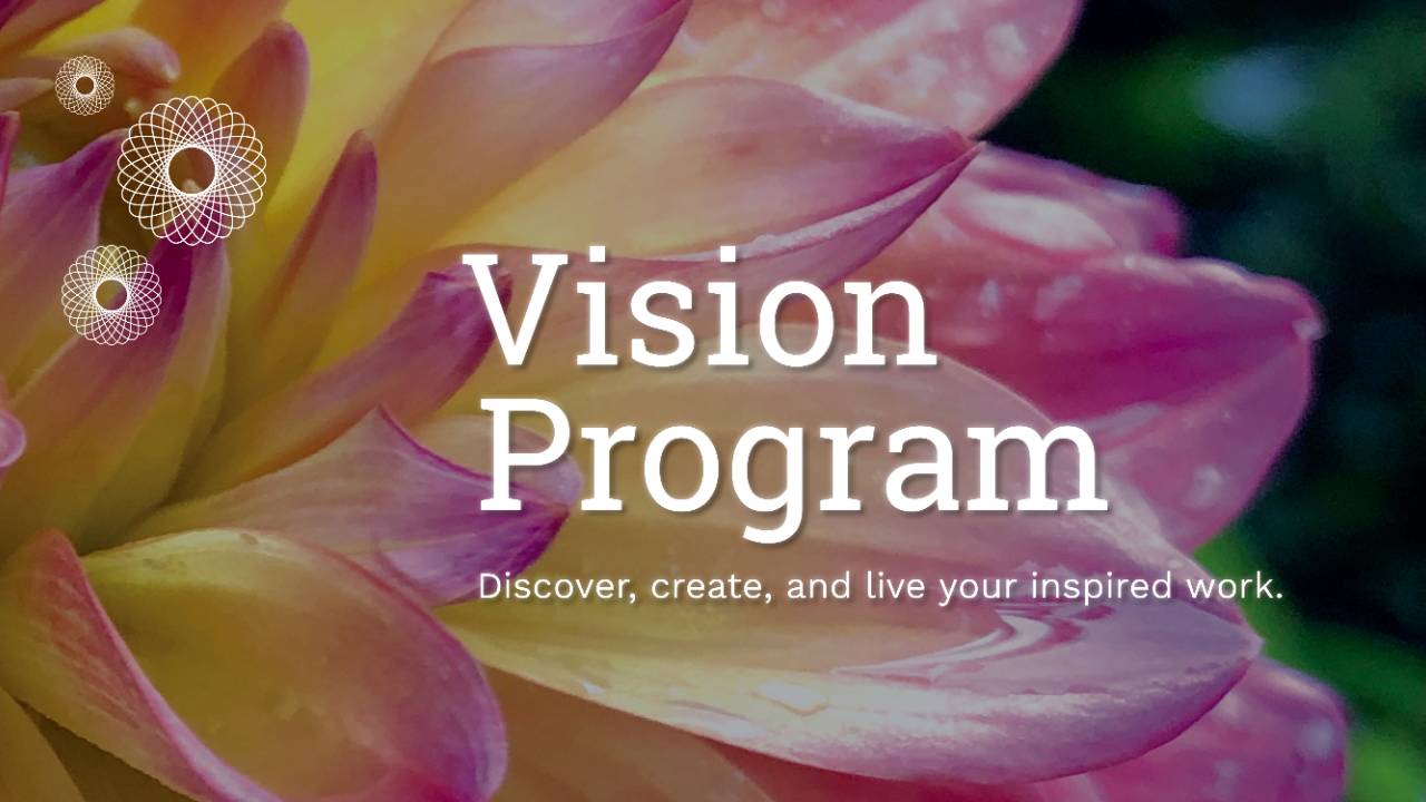 Vision Program